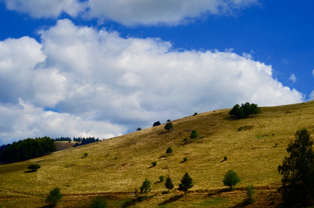 Help Solve Environmental Problems Not Only To Feel Good About Yourself